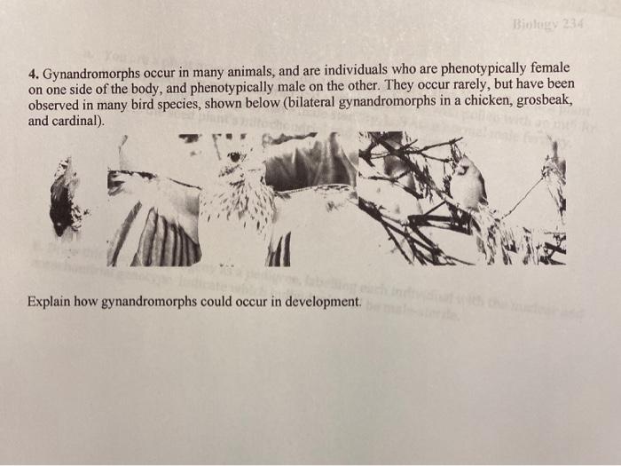 Solved Biology 23 4. Gynandromorphs occur in many animals, | Chegg.com