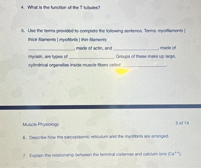 Solved 4. What is the function of the T tubules? 5. Use the | Chegg.com