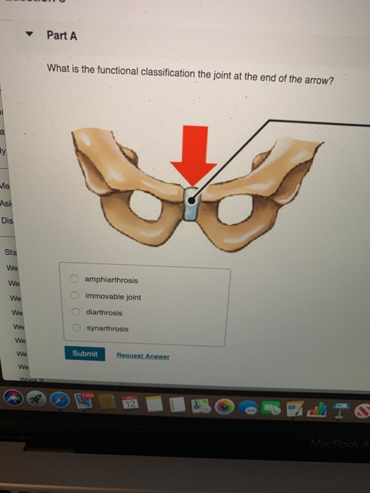 Solved Part A What is the functional classification the | Chegg.com