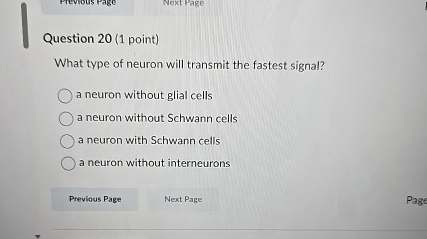 Solved Question 20 (1 ﻿point)What type of neuron will | Chegg.com
