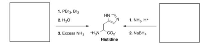 Solved 1. PBry, Bra 2.H20 HN 1. NH3, H+ 3. Excess NH, HEN 2. | Chegg.com