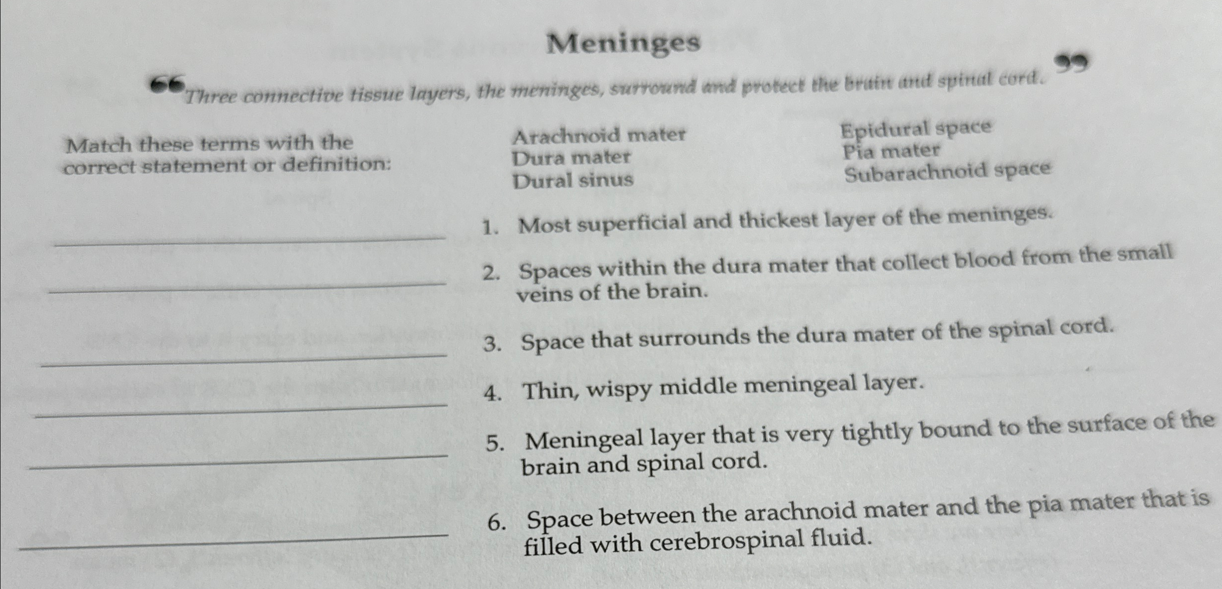 Solved MeningesThree connective tissue layers, the meninges, | Chegg.com