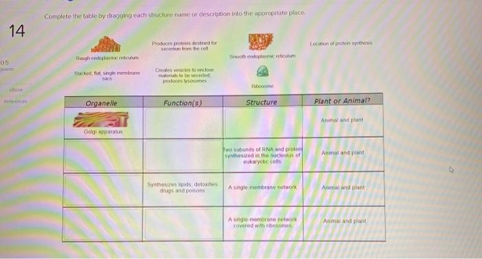 Solved Complete the table by dragging each structure name or | Chegg.com