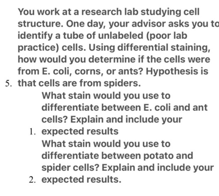 Solved You work at a research lab studying cell structure. | Chegg.com