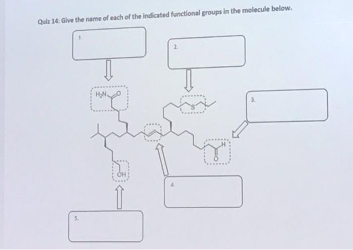 Solved Quiz 14: Give the name of each of the indicated | Chegg.com