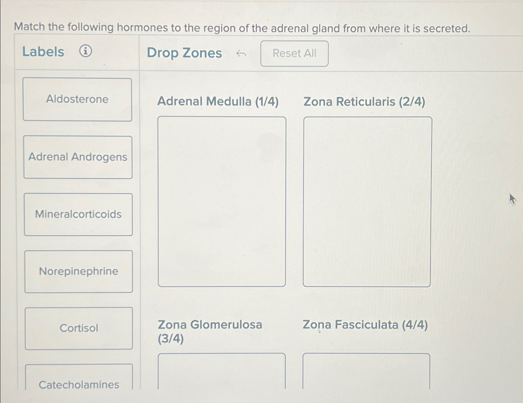 Solved Match the following hormones to the region of the | Chegg.com