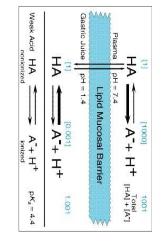 Solved Using the following diagram, explain how the pKa of a | Chegg.com