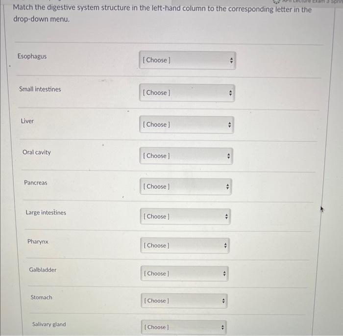 drop-down menu. Match the digestive system structure | Chegg.com