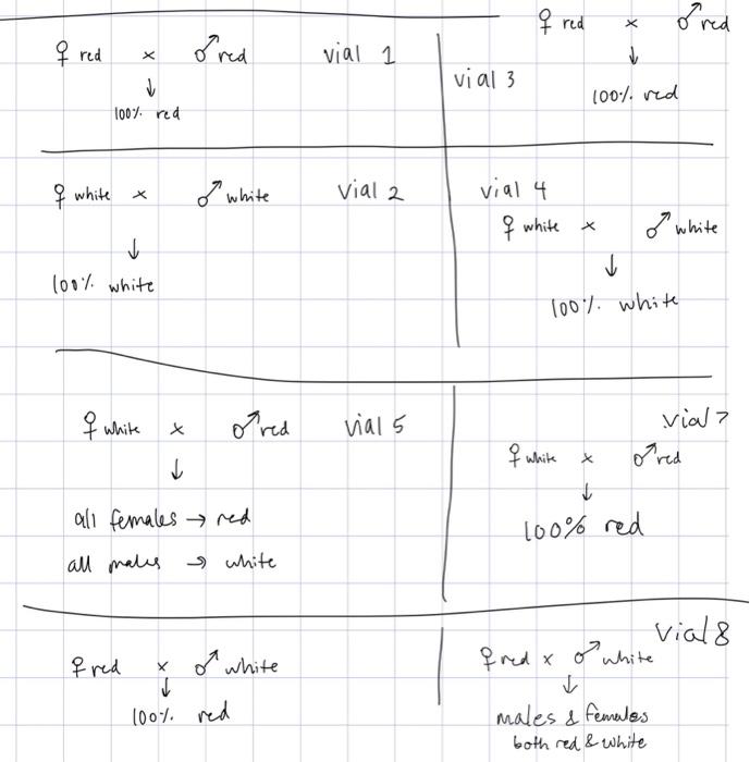 Solved genetics.... fruit flies lab please. we test crossed | Chegg.com