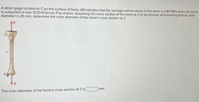 Solved A strain gage located at Con the surface of bone AB | Chegg.com