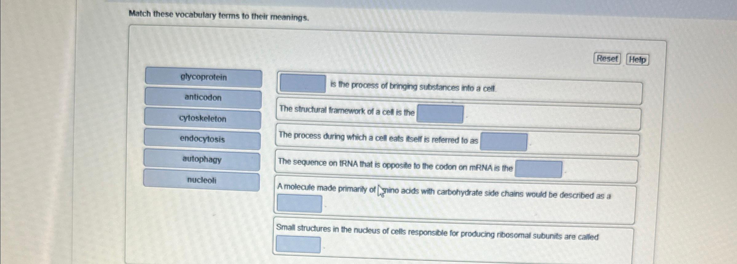 Solved Match these vocabulary terms to their | Chegg.com
