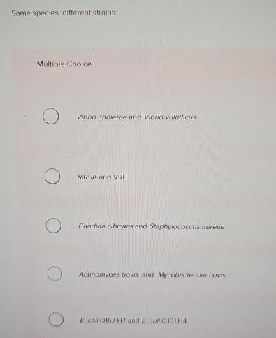 Solved Same species, different strains:Multiple ChoiceVibno | Chegg.com