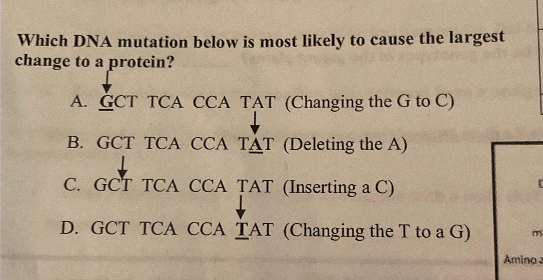 Solved Which DNA mutation below is most likely to cause the | Chegg.com