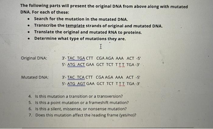 Solved 2. Using the template strand, transcribe this DNA | Chegg.com