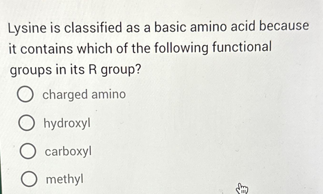 Solved Lysine is classified as a basic amino acid because it | Chegg.com