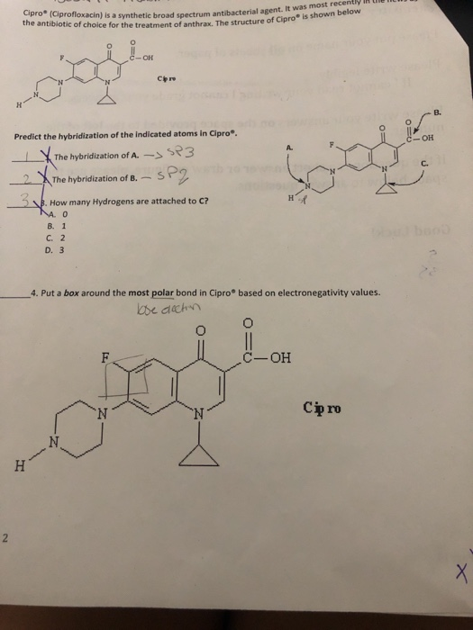 Solved Cipro (Ciprofloxacin) is a synthetic hroad spectrum | Chegg.com
