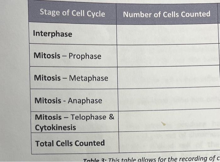 Solved \begin{tabular}{|l|l|} \hline \multicolumn{1}{|c|}{ | Chegg.com
