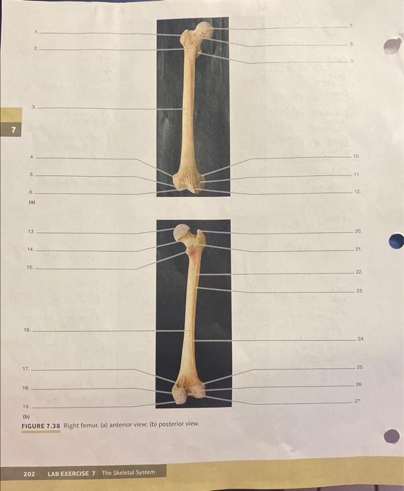 Solved III4. Using FIGURE 7.3 for reference as needed, | Chegg.com