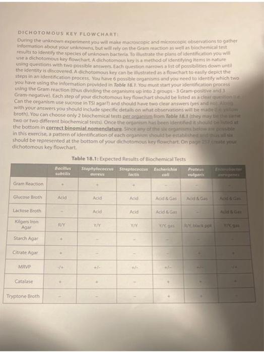 Solved Dichotomous Key Flowchart - Common Mistakes - All | Chegg.com