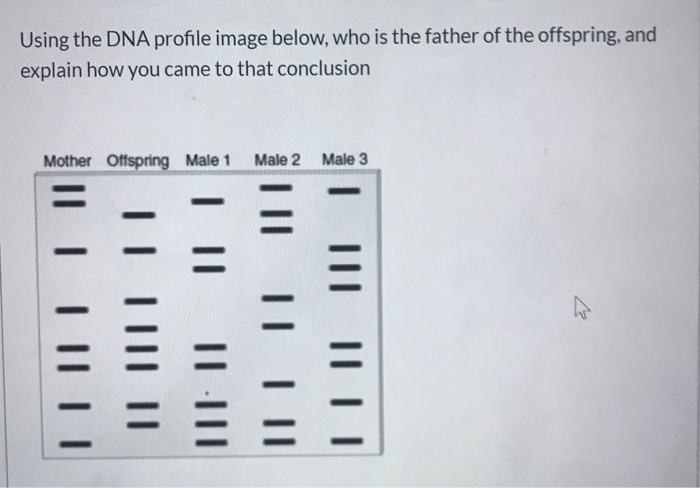 Solved Using the DNA profile image below, who is the father | Chegg.com