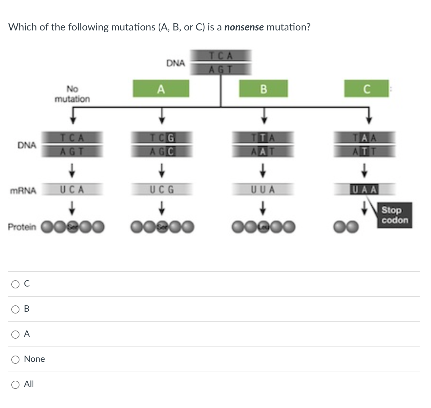 Solved Which of the following mutations , ﻿or C ) ﻿is a | Chegg.com