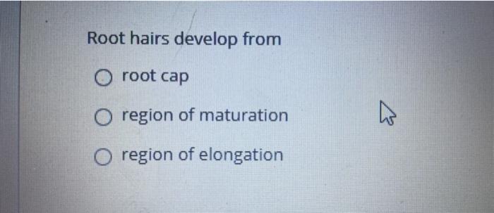 Solved Root hairs develop from O root cap region of | Chegg.com