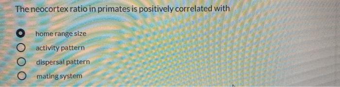Solved The neocortex ratio in primates is positively | Chegg.com