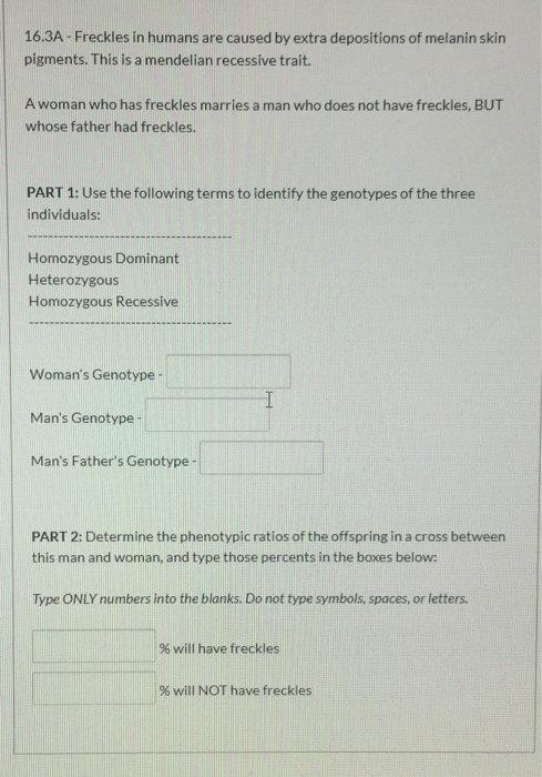 Solved 16.3A - Freckles in humans are caused by extra | Chegg.com