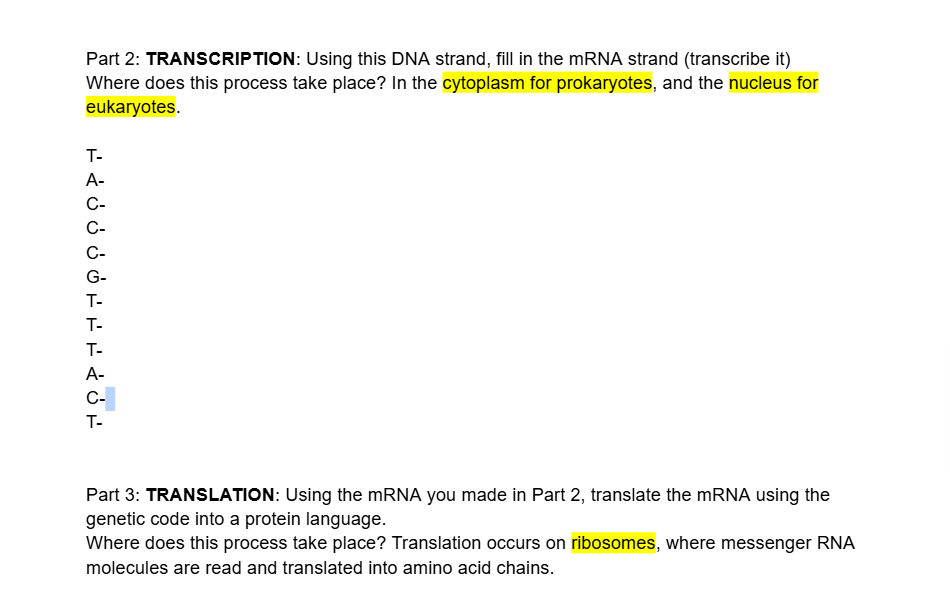 Solved Ask a question... Part 2: TRANSCRIPTION: Using this | Chegg.com