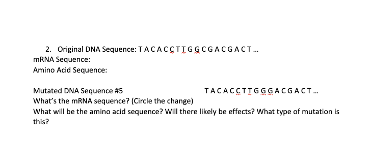 Original Dna Sequence T A C A C C T T G G C G A C G