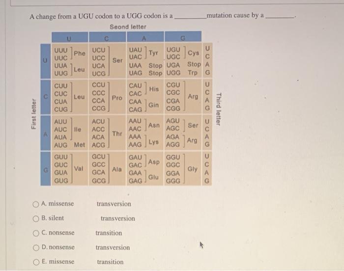 Solved mutation cause by a A change from a UGU codon to a | Chegg.com