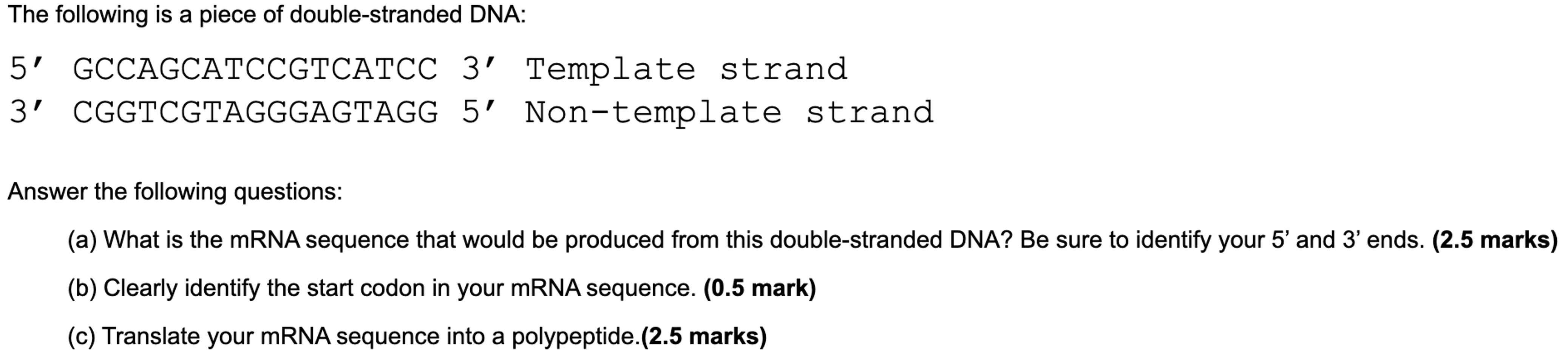 Solved The following is a piece of double-stranded DNA:5' | Chegg.com
