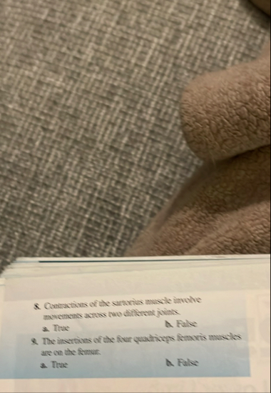 Solved Crofactivis of de sartonis macile involve movemens | Chegg.com