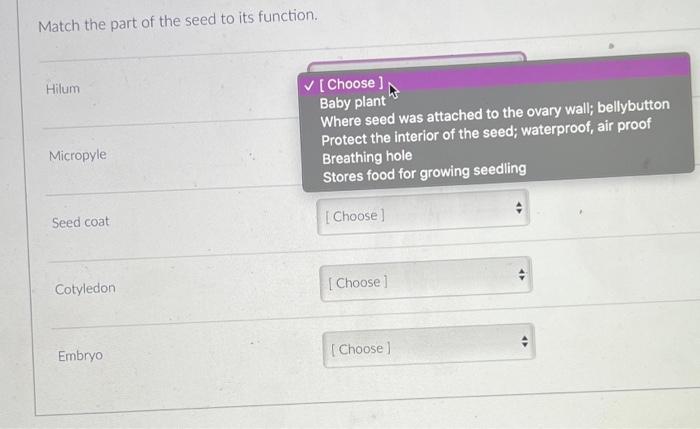 Solved Match the part of the seed to its function. Hilum | Chegg.com