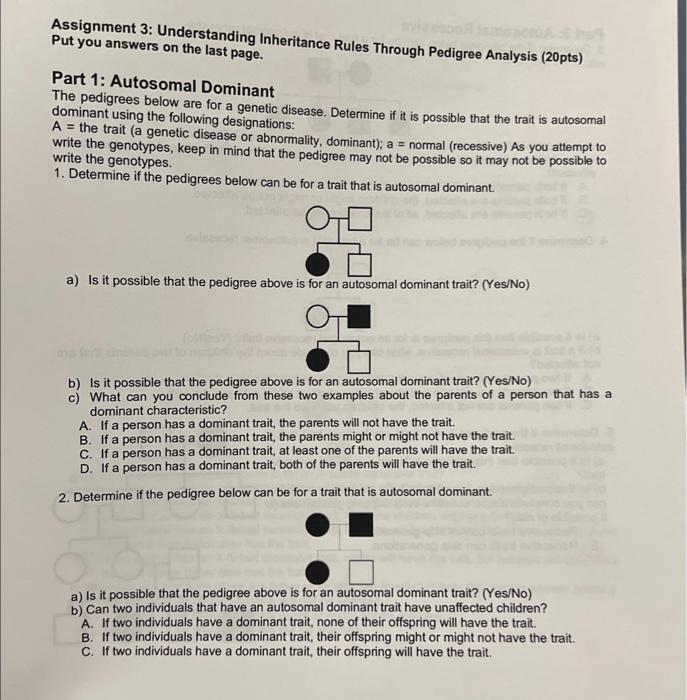 Solved Assignment 3: Understanding Inheritance Rules Through | Chegg.com