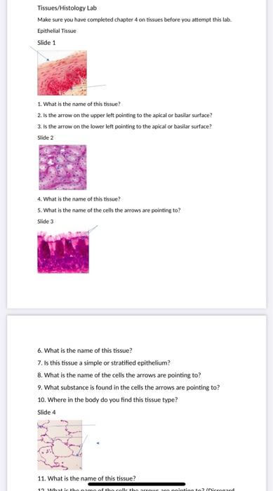 Solved Tissues/Histology Lab Make sure you have completed | Chegg.com