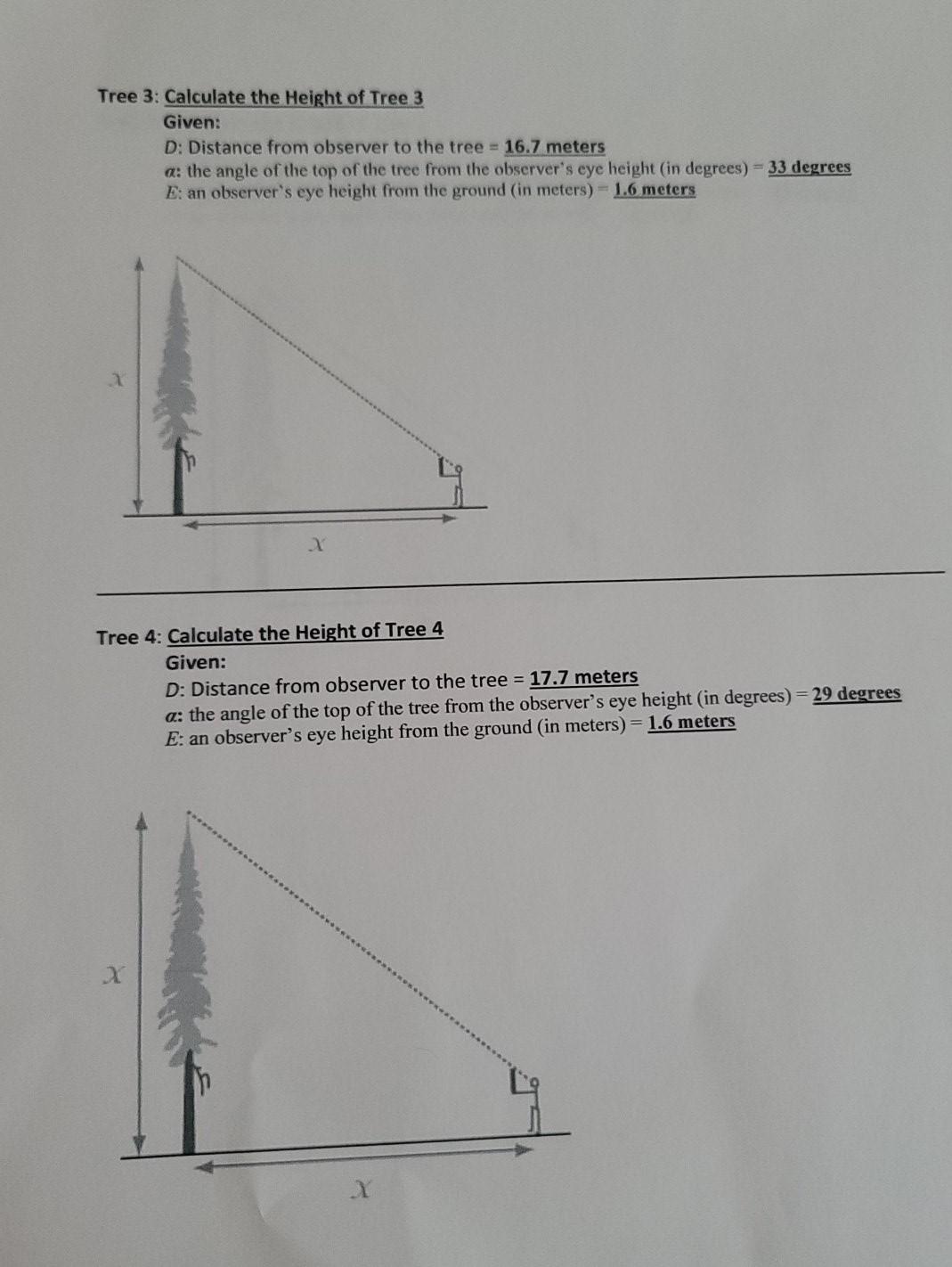 Solved Tree 3: Calculate the Height of Tree 3 Given: D: | Chegg.com