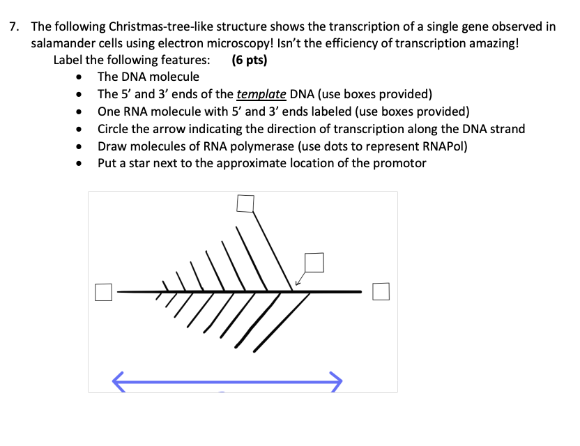 Solved The following Christmas-tree-like structure shows the | Chegg.com