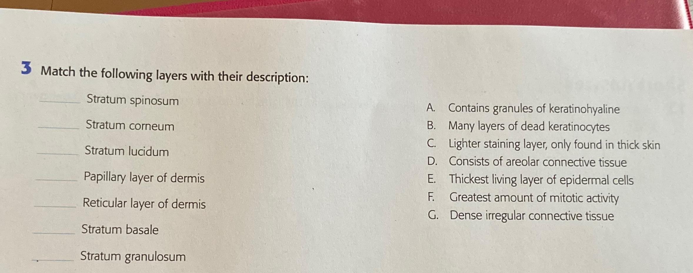 Solved 3 ﻿Match the following layers with their | Chegg.com