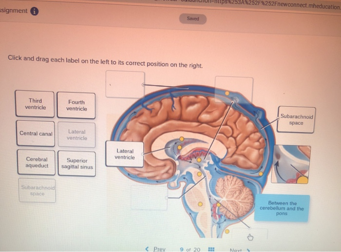 Solved tp 253A%252F%252Fnewconnect.mheducation ssignment | Chegg.com