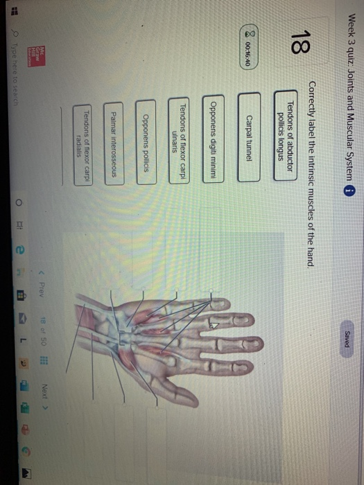 Solved: Week 3 Quiz: Joints And Muscular System 6 Saved Co... | Chegg.com Solved: Week 3 Quiz: Joints And Muscular System 6 Saved Co... | Chegg.com