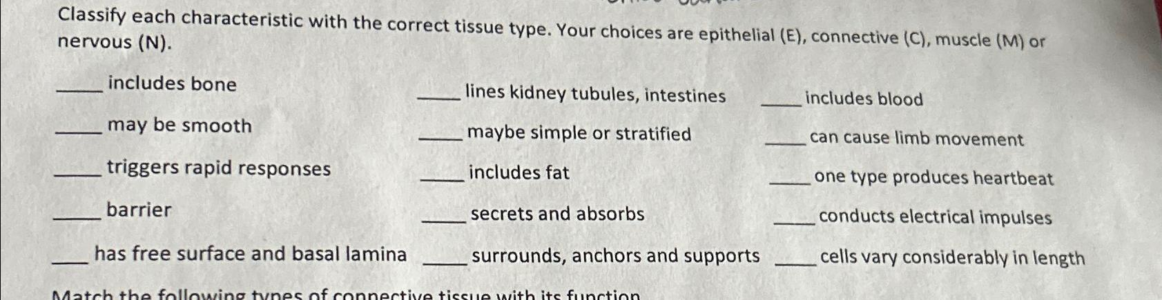 Solved Classify each characteristic with the correct tissue | Chegg.com