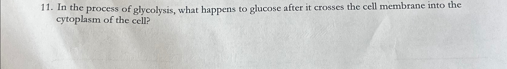 Solved In the process of glycolysis, what happens to glucose | Chegg.com