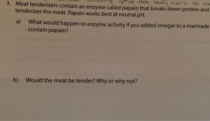 Solved E6mce tlest odu uon't e con 3. Meat tenderizers | Chegg.com