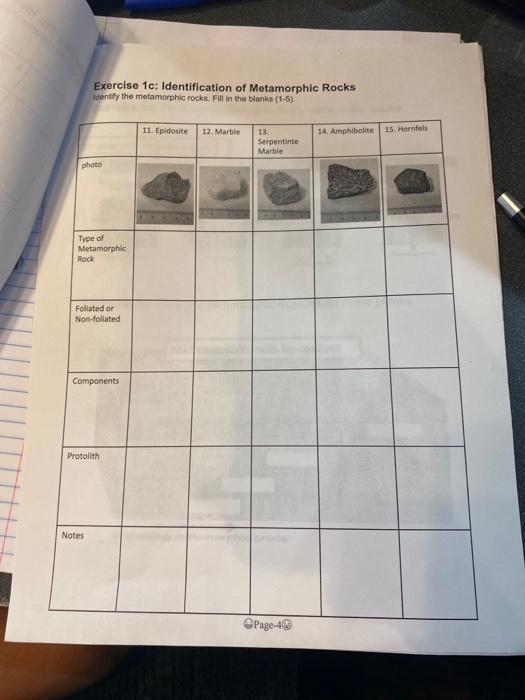 Solved Exercise 1c: Identification of Metamorphic Rocks | Chegg.com