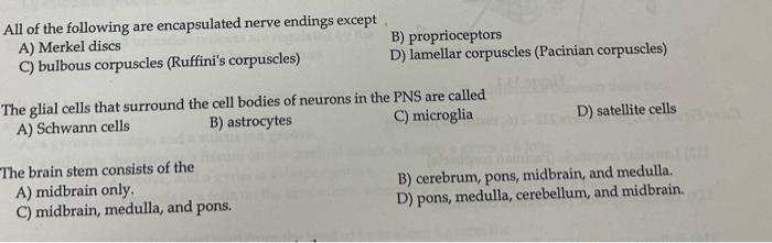 Solved All of the following are encapsulated nerve endings | Chegg.com