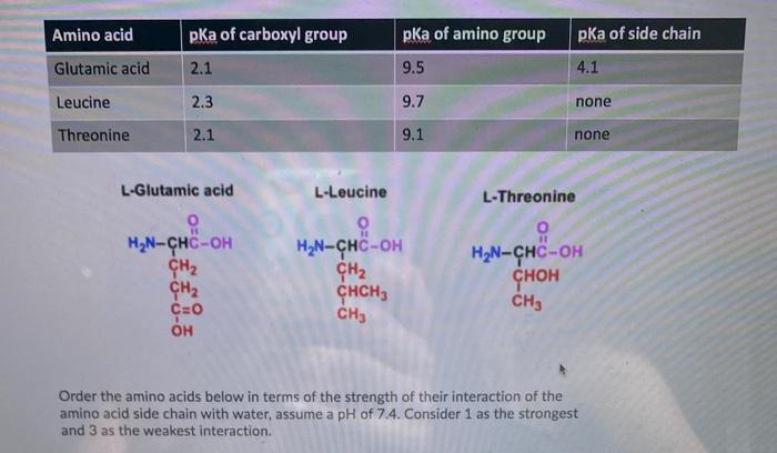 Solved Amino acid pKa of carboxyl group pka of amino group | Chegg.com