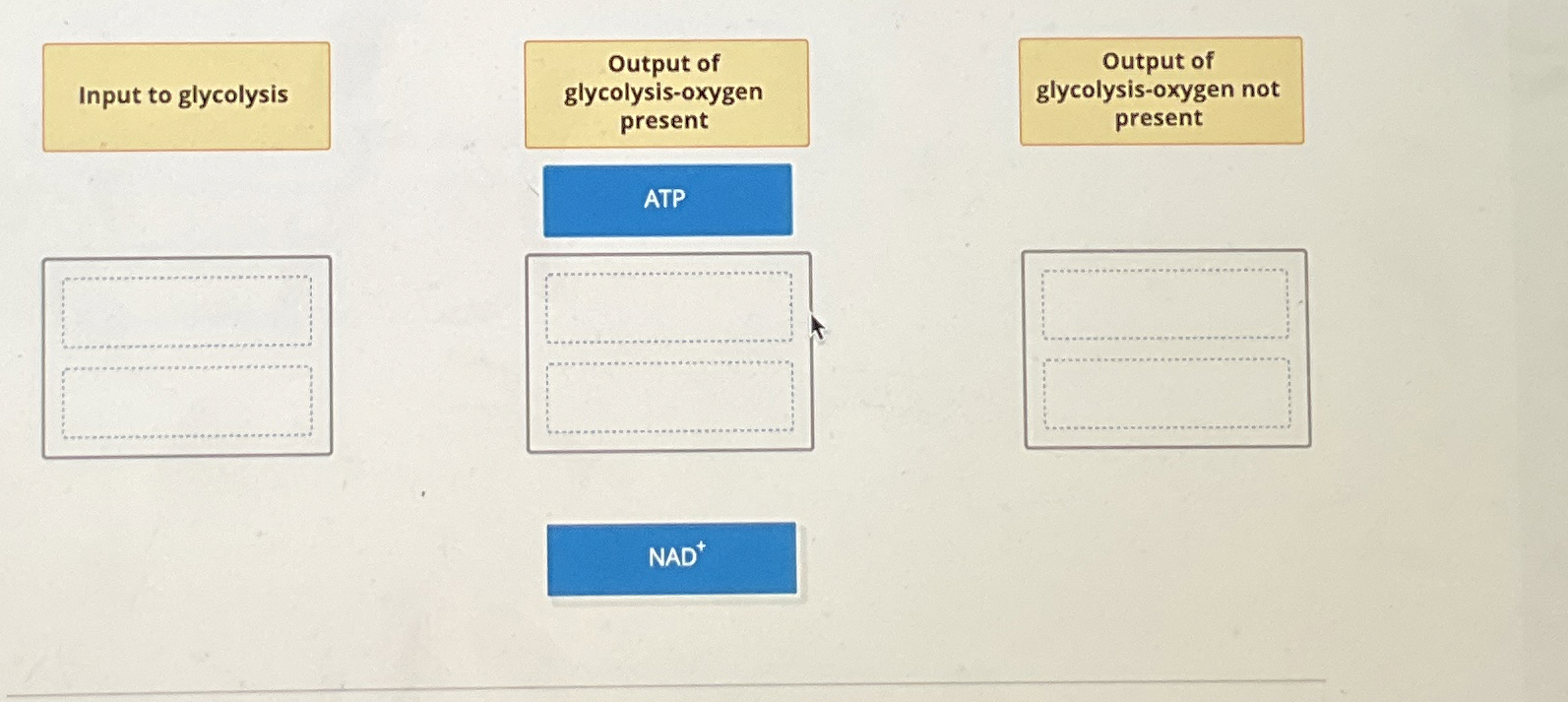 Solved Output of glycolysis-oxygen present Output of | Chegg.com