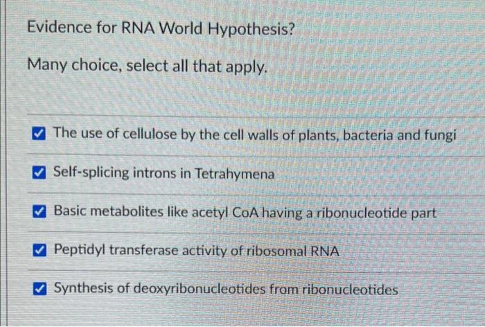 Solved Evidence for RNA World Hypothesis? Many choice, | Chegg.com