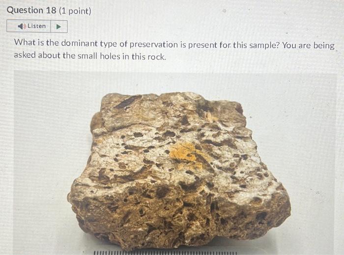 Solved What is the dominant type of preservation is present | Chegg.com